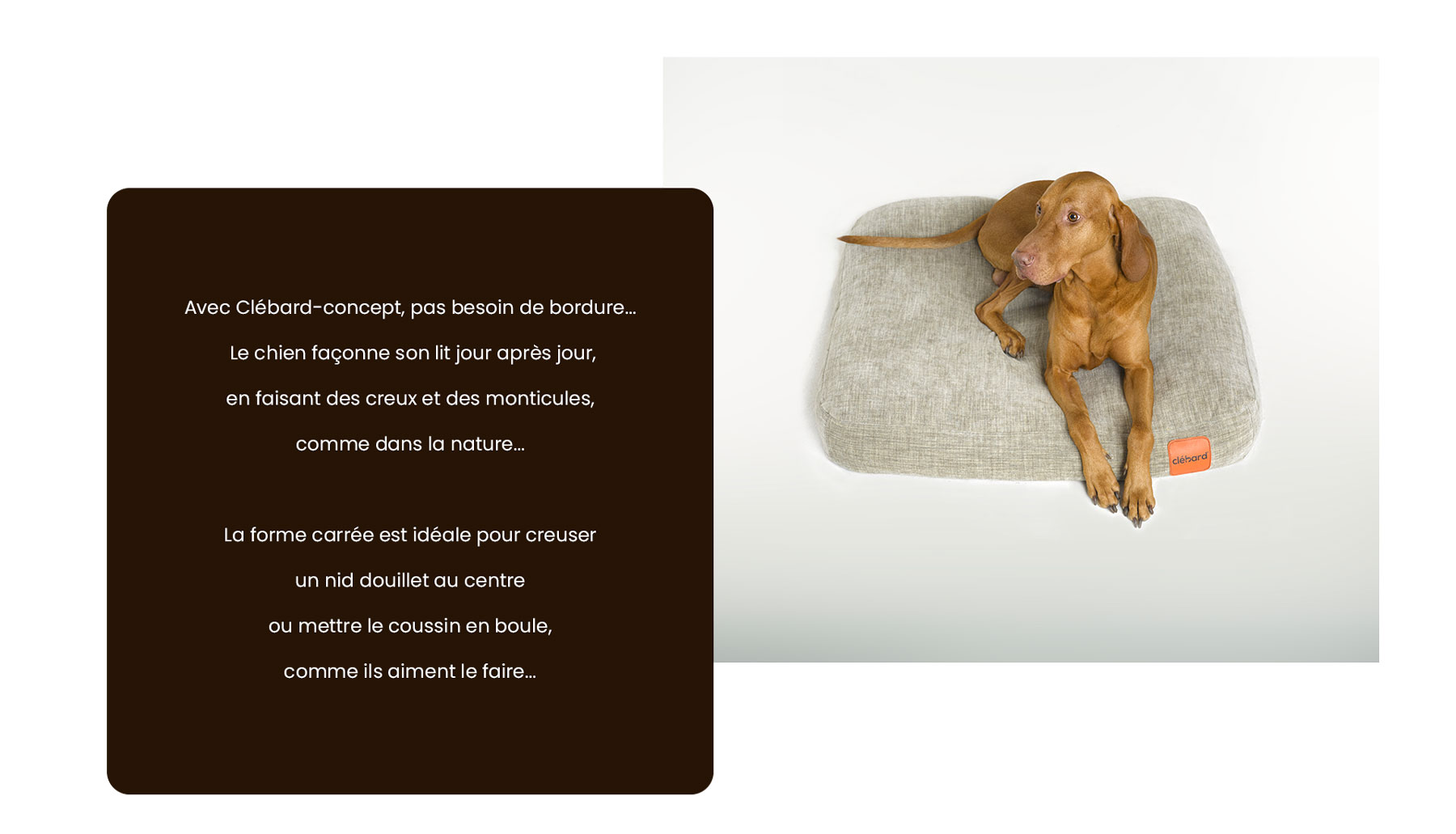 Le spécialiste des coussins pour chien haut de gamme - Clébard-concept