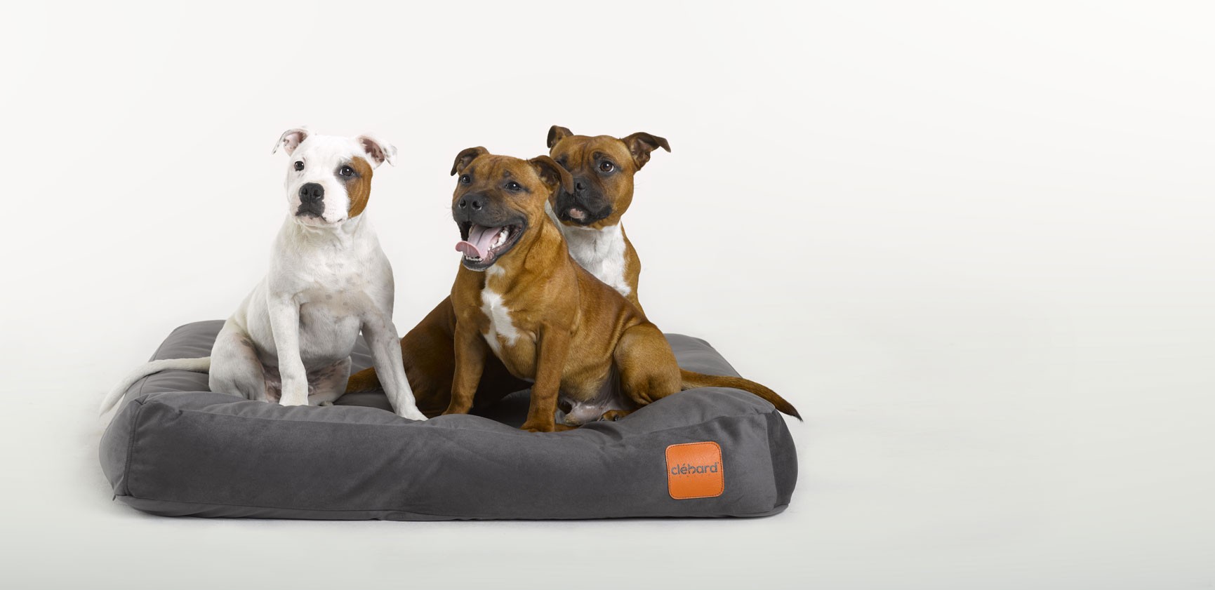 Le spécialiste des coussins pour chien haut de gamme - Clébard-concept